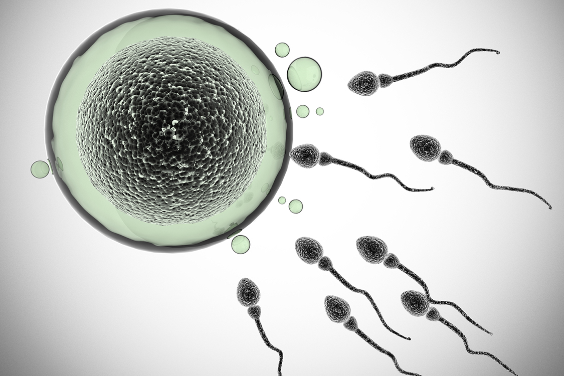 Qual a ligação da fertilidade com a alimentação? - Homeomed